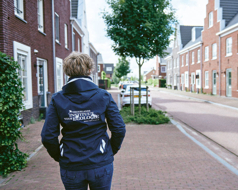 Luisteren naar de bodem | BPD.nl