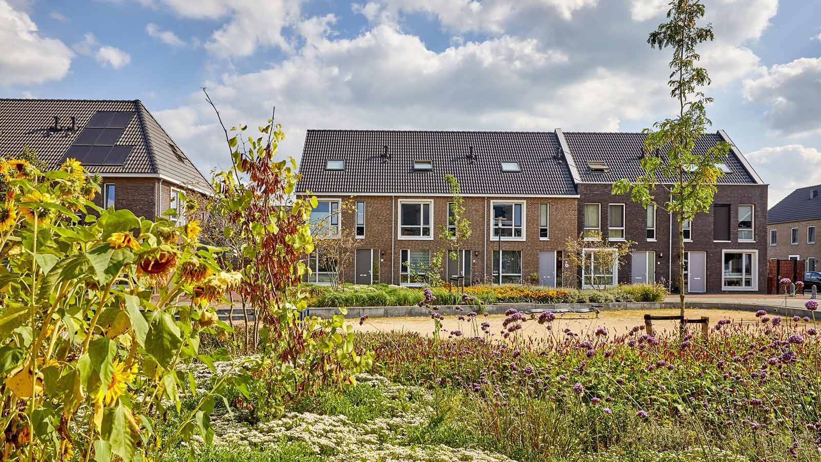 Hoef en Haag, water en bodem leidend in de polder | BPD.nl