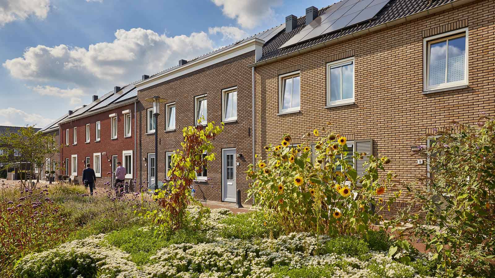 Hoef en Haag, water en bodem leidend in de polder | BPD.nl