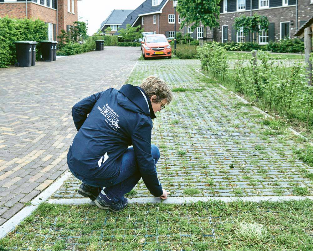 Luisteren naar de bodem | BPD.nl